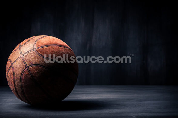 Vintage Basketball Mural | Wallsauce UK