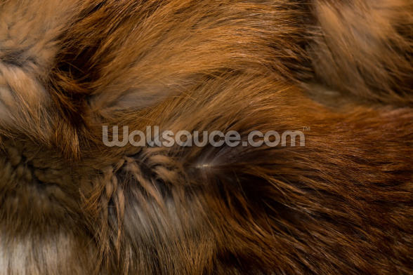 Brown Bear Fur Print Wall Mural | Wallsauce US