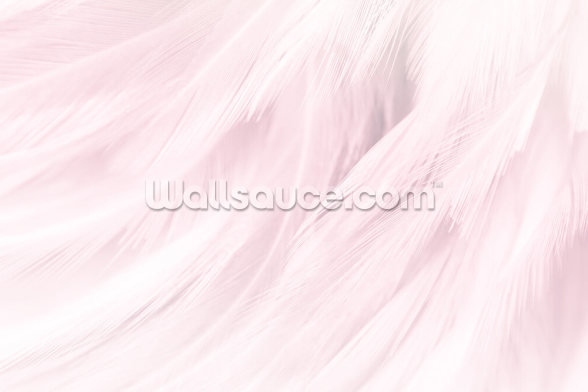 Light Pink Feather Print Mural | Wallsauce UK