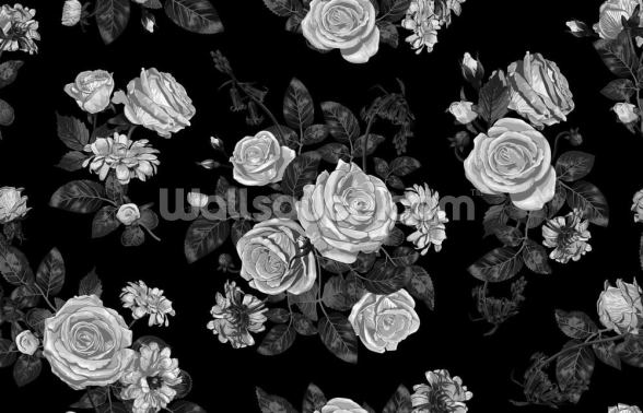 Pastel Pink Rose Wall Mural | Wallsauce AU