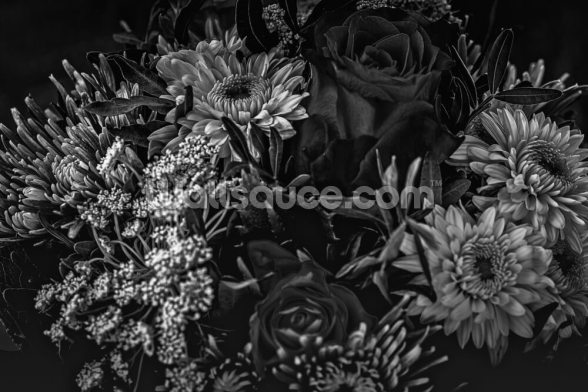 Sepia Flowers Mural Wallpaper | Wallsauce US