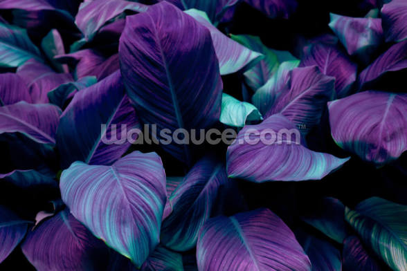 Violette Dschungel-Tapete | Wallsauce DE