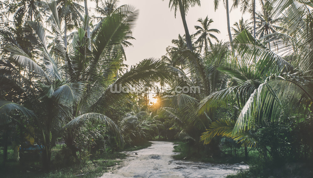 Sunset Jungle Wallpaper | Wallsauce US