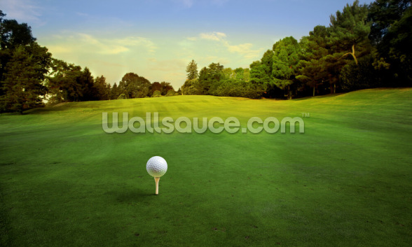 Tee Off Golf Wallpaper Mural | Wallsauce US