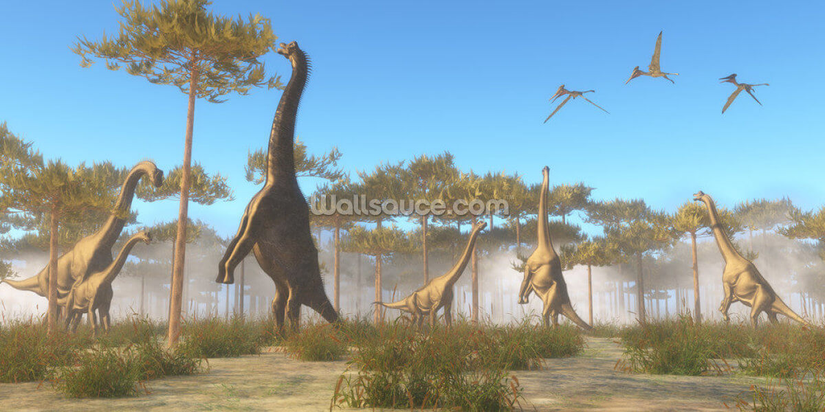 Brachiosaurus Browsing Wallpaper | Wallsauce US