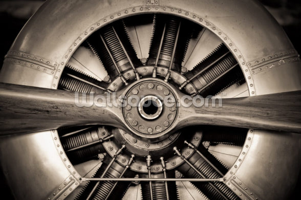 Vintage Propeller Aircraft Engine Wall Mural | Wallsauce US