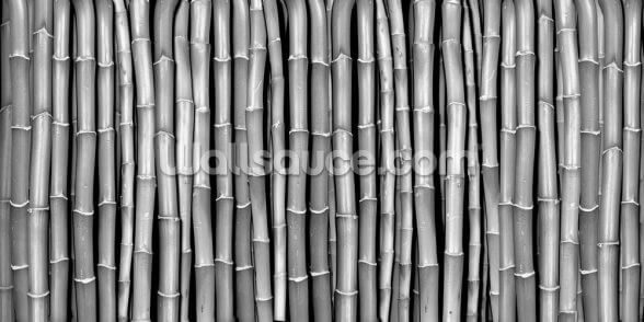 Bamboo Mural Wallpaper | Wallsauce US