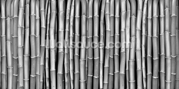 Bamboo Mural Wallpaper | Wallsauce US