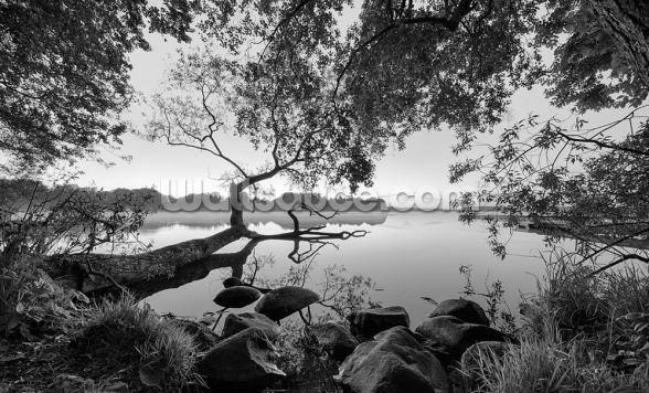 Lake View Wallpaper | Wallsauce UK