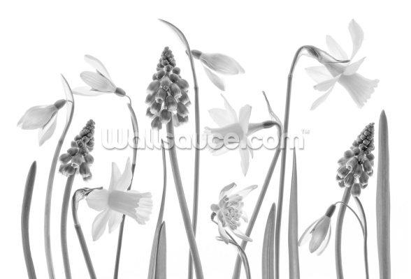 Spring Flowers Wall Mural | Wallsauce UK