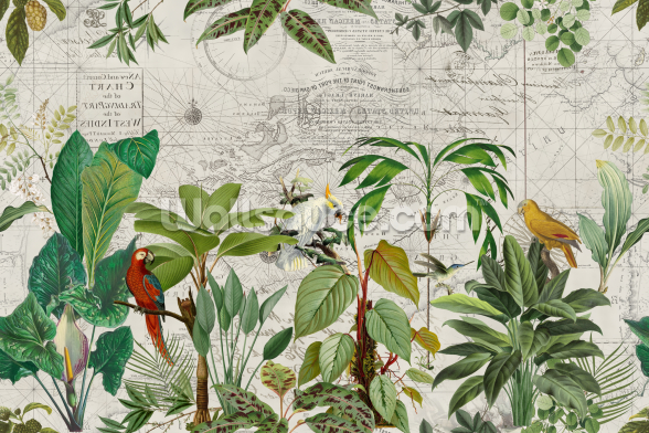 Exotic Birds Journey Wall Mural | Wallsauce NZ