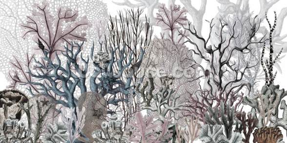 Ocean Wonders Wall Mural | Wallsauce US