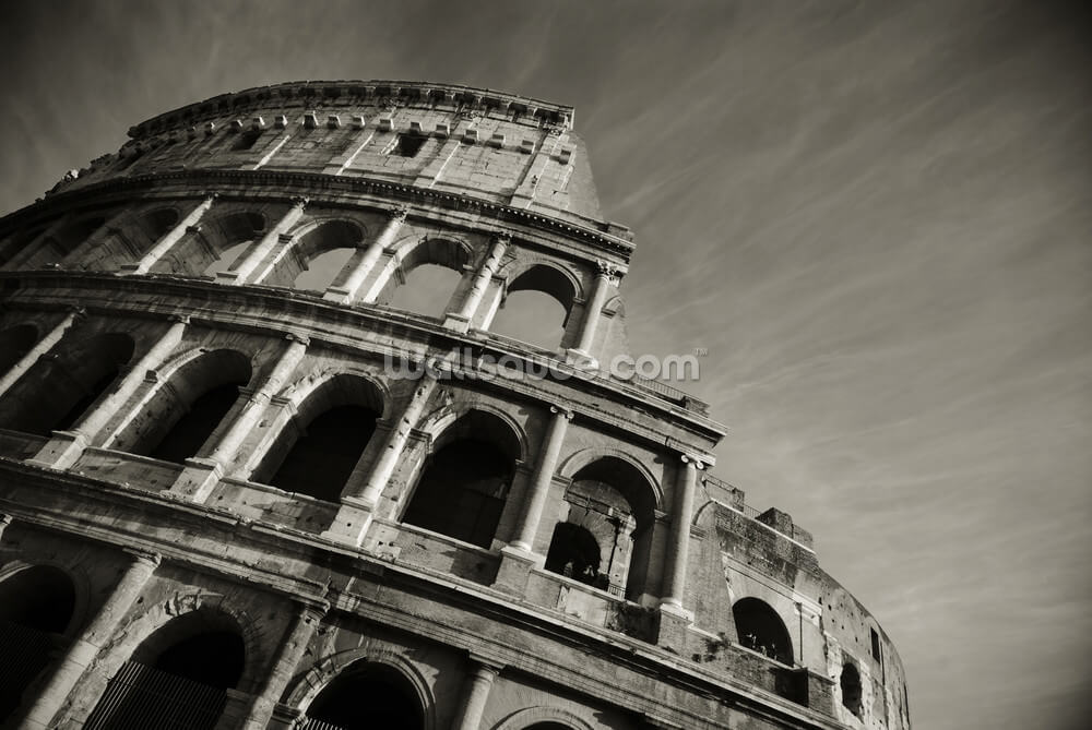 Colosseum - Black and White Wallpaper | Wallsauce AU
