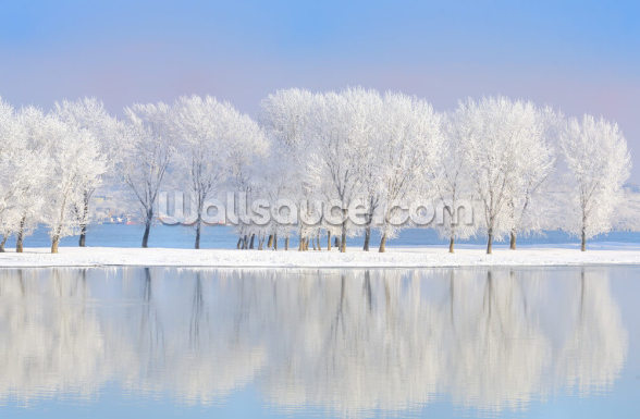 Winter Frost Wallpaper | Wallsauce UK