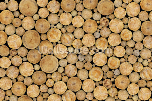Stacked Log Pile Wall Mural | Wallsauce AU