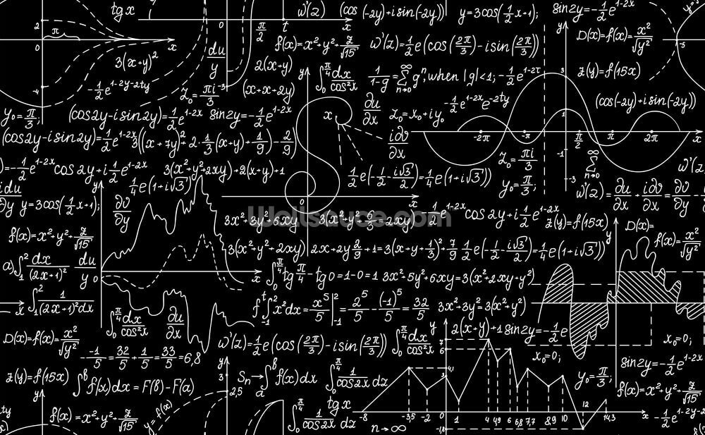 Plots, Formulas and Calculations Wallpaper Mural | Wallsauce US