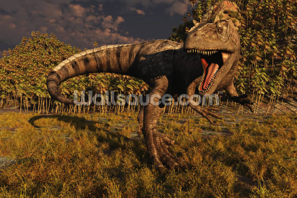 Allosaurus Hunts Wallpaper | Wallsauce UK