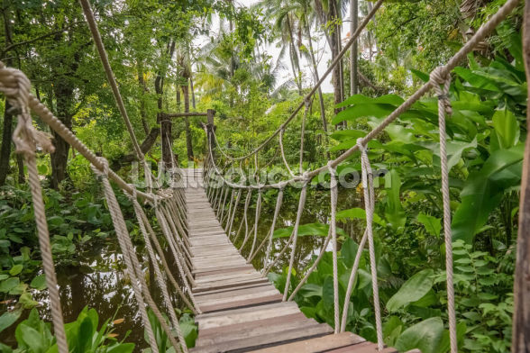 Jungle Bridge Wallpaper | Wallsauce US