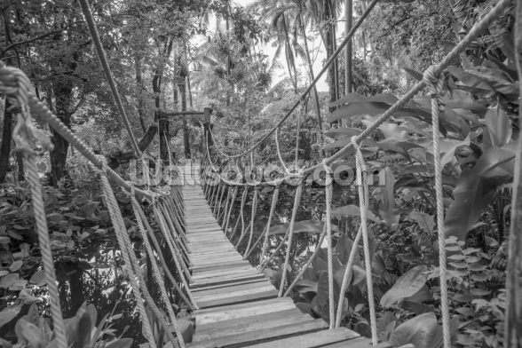 Jungle Bridge Wallpaper | Wallsauce US