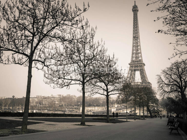 Paris Wallpaper & Wall Murals | Wallsauce US