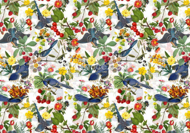 Bird Wallpaper & Wall Murals | Wallsauce UK