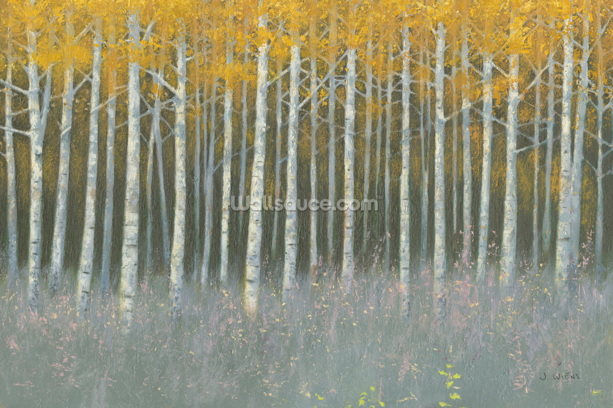 Forest Dusk Wall Mural | Wallsauce UK