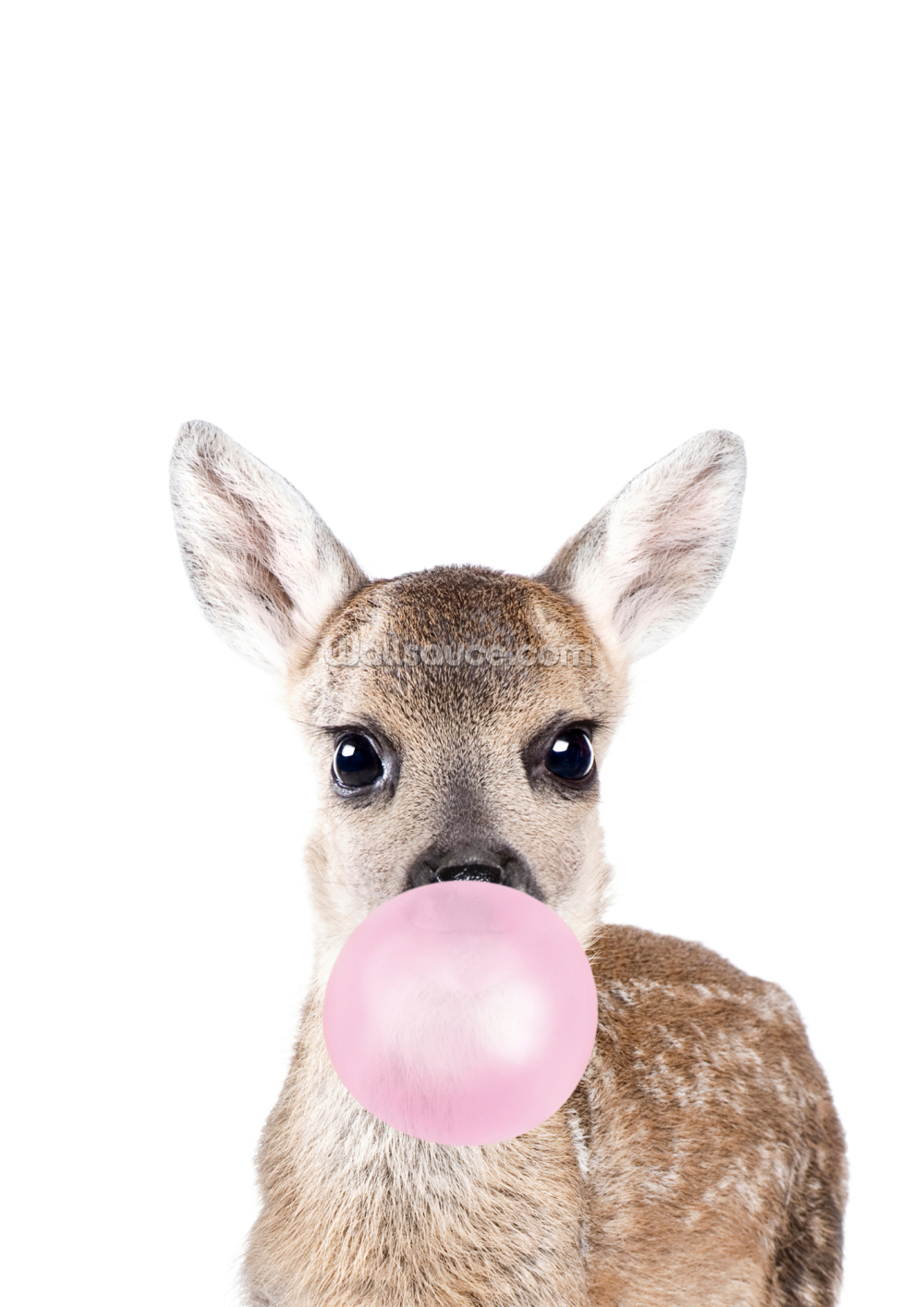 Bubble Gum Deer Print | Wallsauce UK