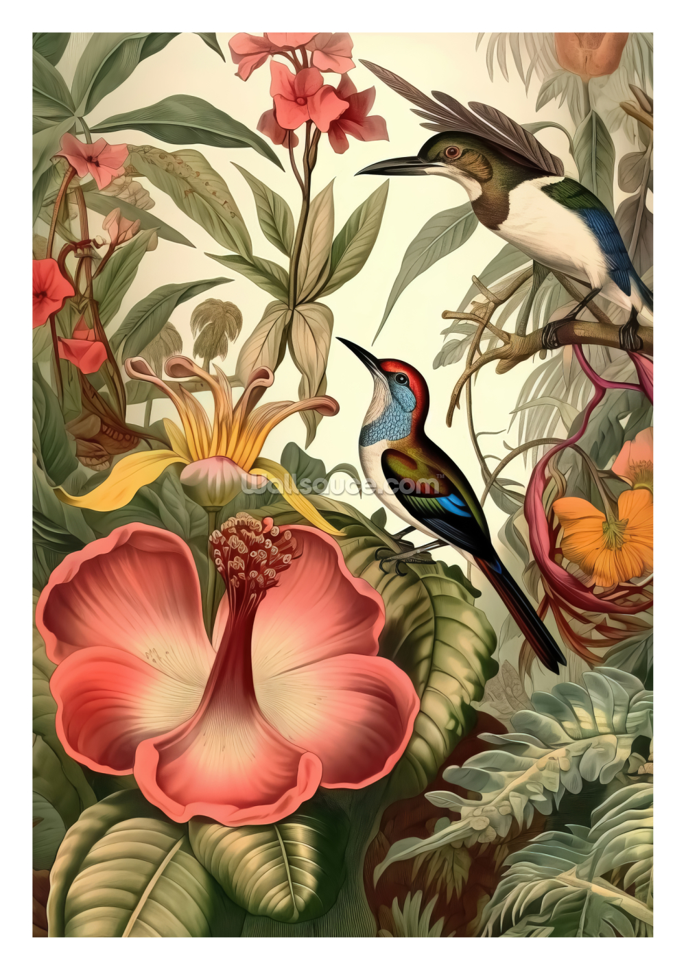 Botanical Birds Prints & Poster | Wallsauce UK