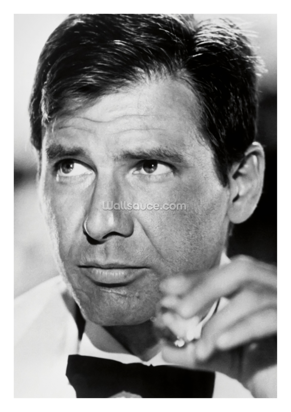 Harrison Ford (Indiana Jones and the Temple of Doom) Poster | Wallsauce UK