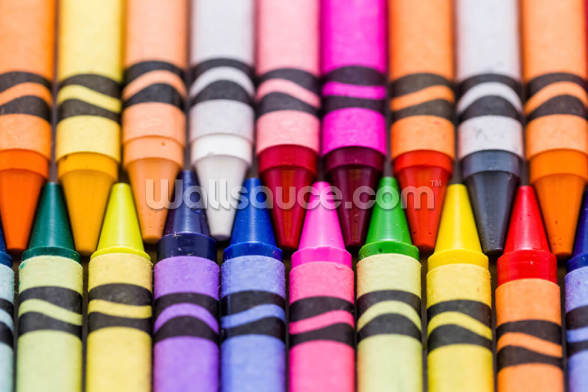 Crayons Wall Mural | Wallsauce NZ