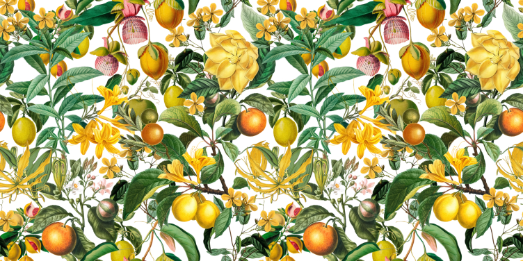 Andrea Haase muurschilderingen en achtergronden | Wallsauce NL