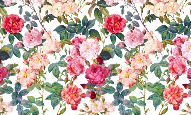 Rose Wallpaper & Wall Murals | Wallsauce UK