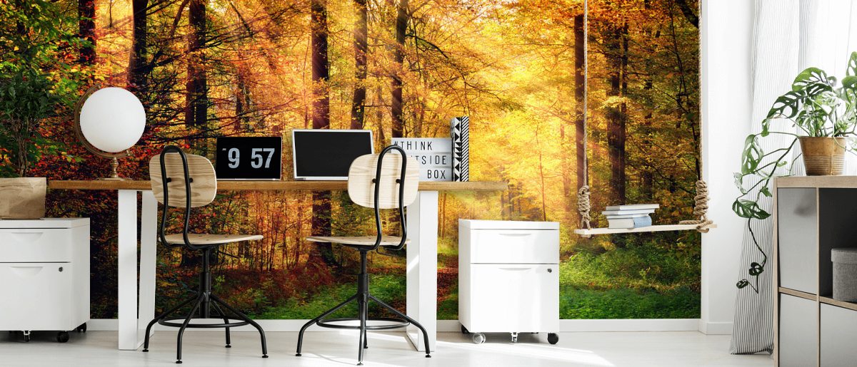Autumn Forest with Rays of Warm Light Wallpaper | Wallsauce US