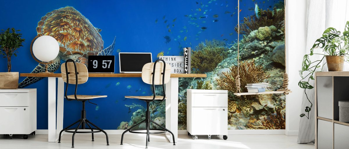 Graceful Sea Turtle Wall Mural | Wallsauce AU