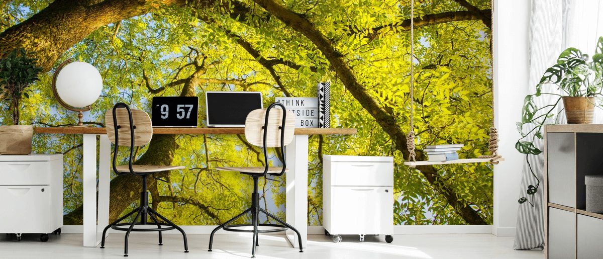Tree Canopy Wall Mural | Wallsauce US