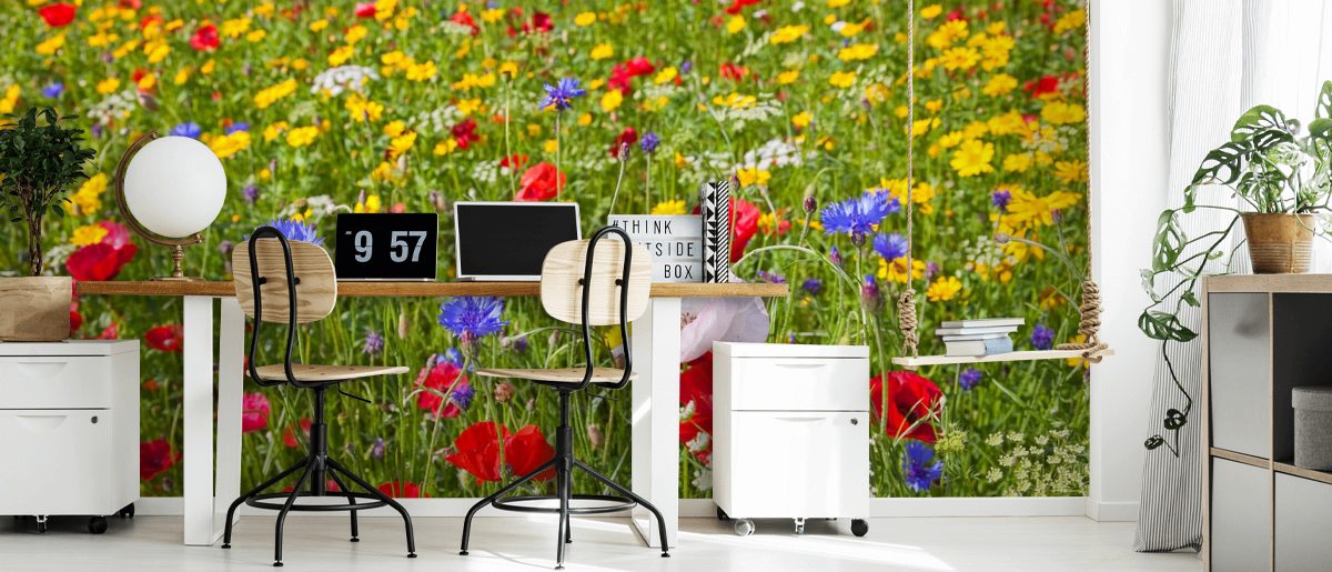 Single White Poppy | Wallsauce UK