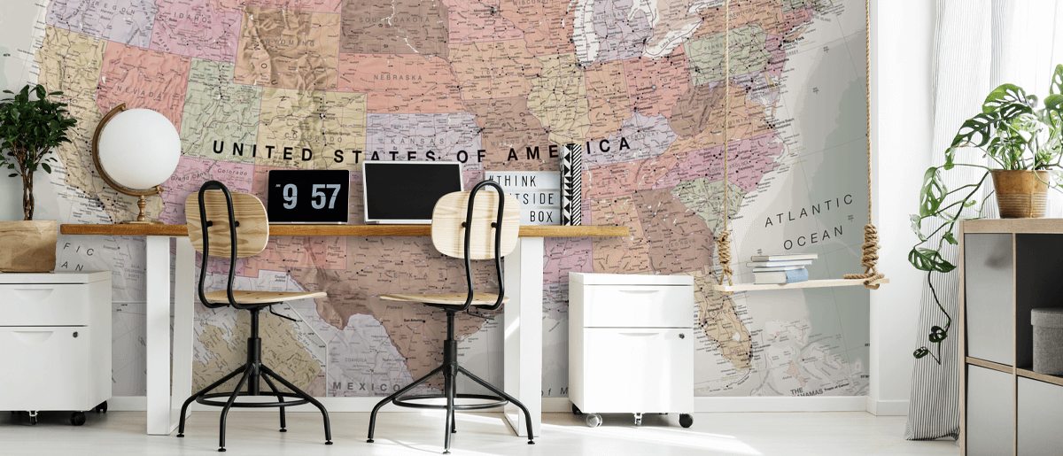 USA Political Map Neutral Colours Wallpaper | Wallsauce US