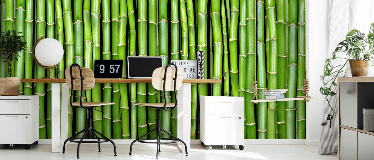 Bamboe muurschildering behang | Wallsauce NL