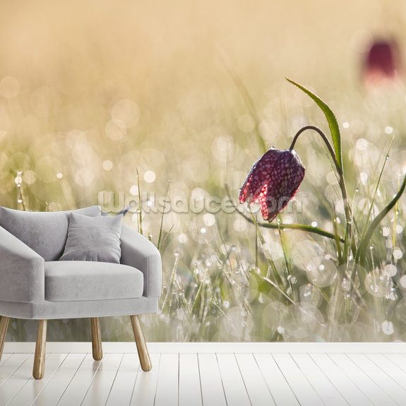 Morning Dew Wallpaper | Wallsauce US