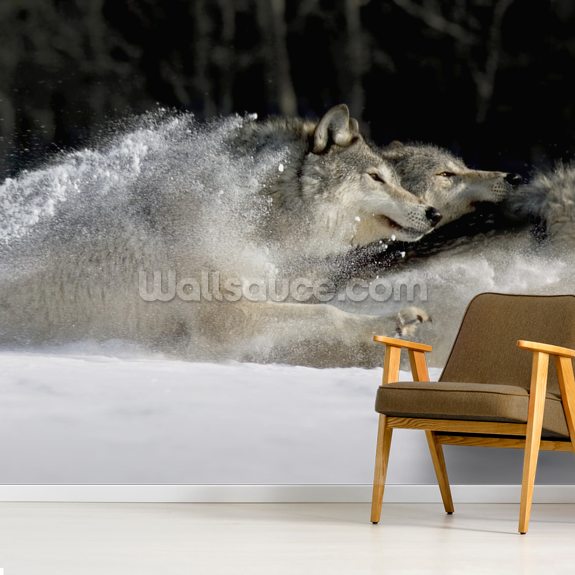 Wolves Running Through Deep Snow Wallpaper | Wallsauce US