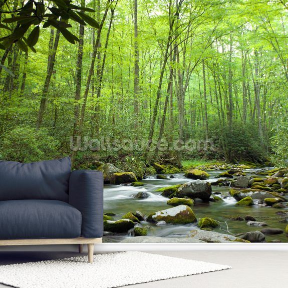 Jungle stream Wallpaper Mural | Wallsauce US