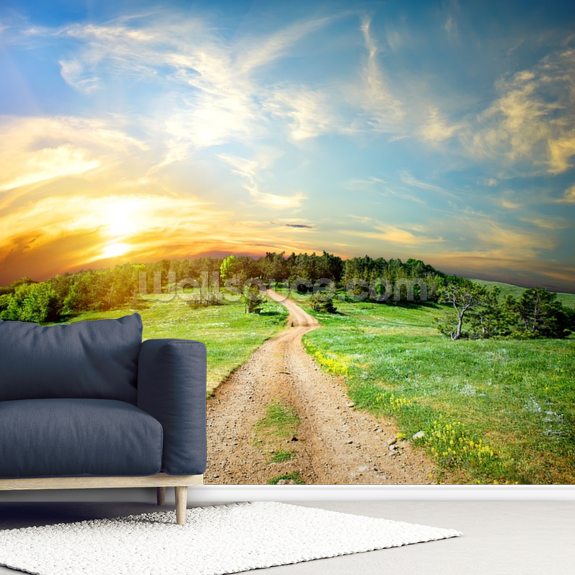 Country Track Wallpaper | Wallsauce US