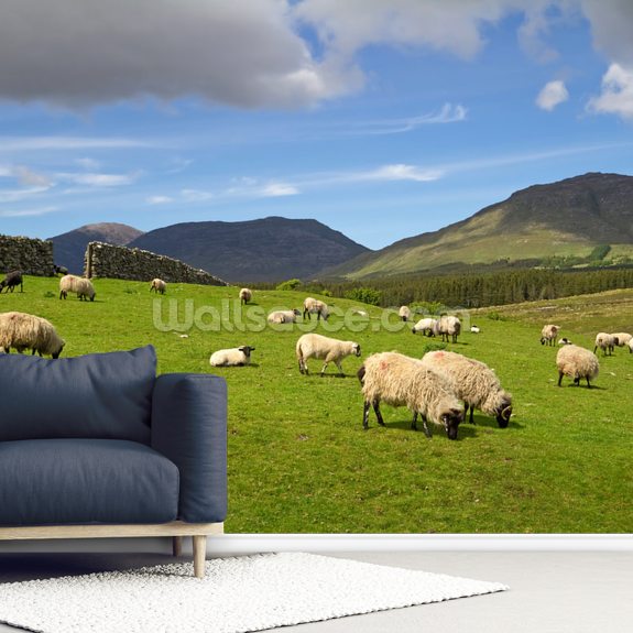 Schaf grasend Tapete | Wallsauce DE