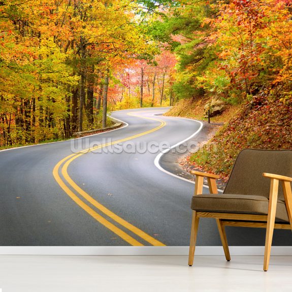 Route Sinueuse Murale Route Sinueuse Papier Peint Wallsauce FR