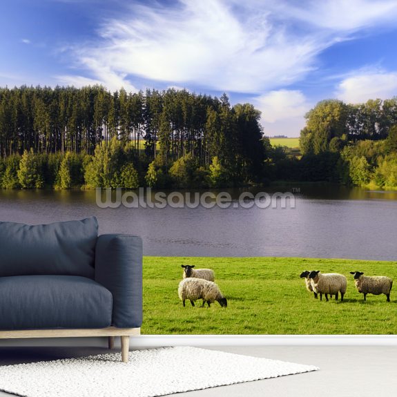 Schaf Fototapete | Wallsauce DE