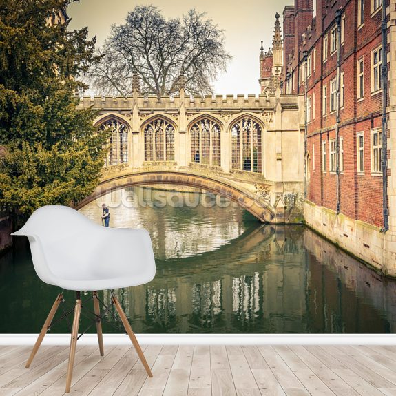 Bridge over River, Cambridge Wallpaper Mural | Wallsauce EU