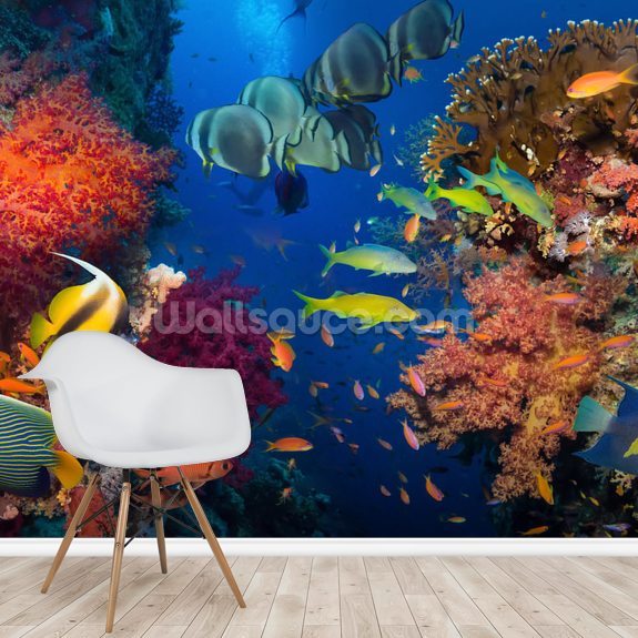 Papier Peint Corail et Poissons | Wallsauce FR