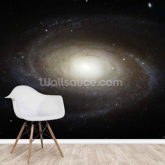 Grand Design Spiral Galaxy M81 Wallpaper | Wallsauce US