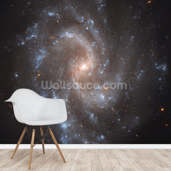 Hubble's View of NGC 5584 Wallpaper | Wallsauce UK