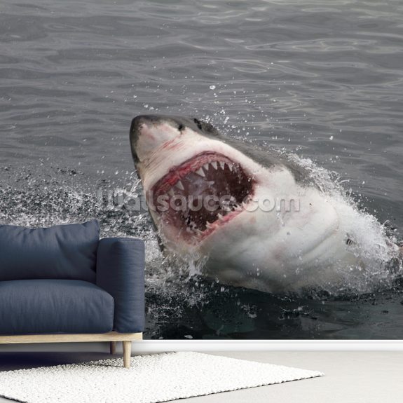 Papier Peint Grand Requin Blanc | Wallsauce FR